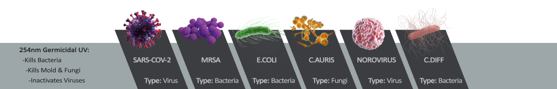 The Science - Blue Halo Lighting