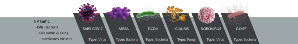 Home - Blue Halo Lighting