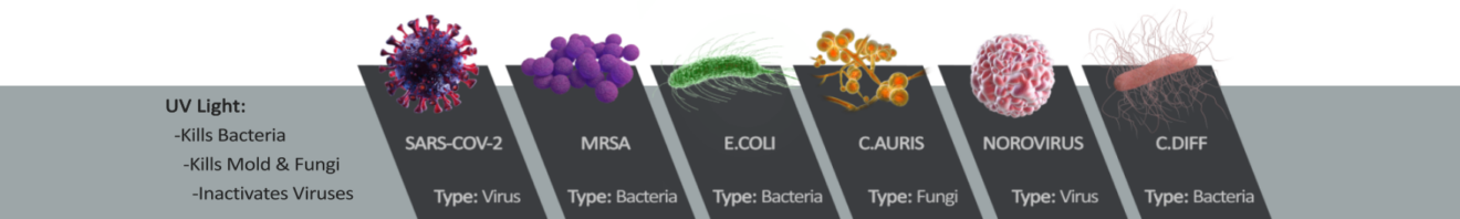 Home - Blue Halo Lighting